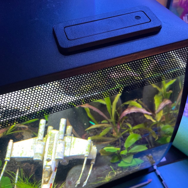 Fish Guild Corp Home Page